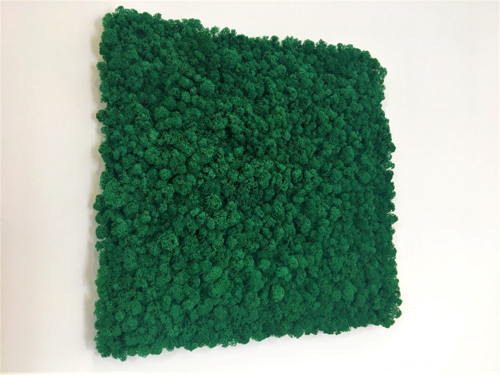 Premium Preserved Reindeer Moss Wall Panel 50x50cm – Medium Green moss ...